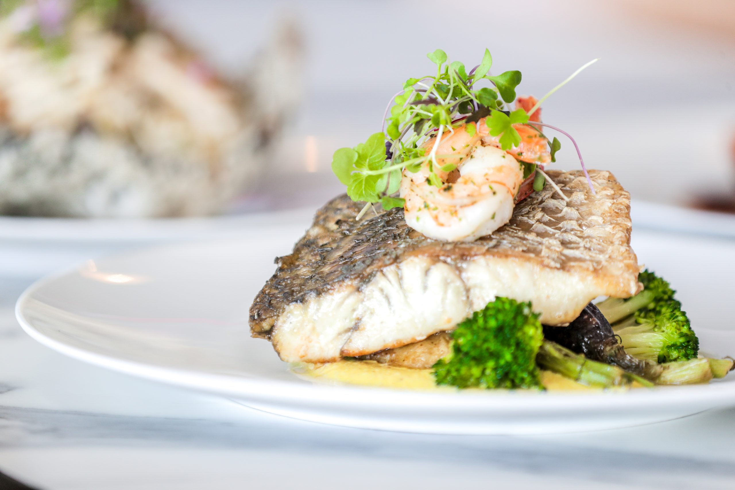 Kitchen 34 - Burleigh Bears