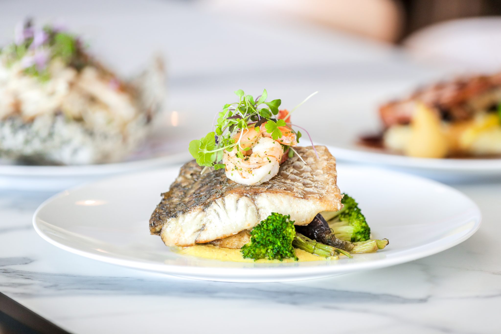 Burleigh Bears Leagues Club | Burleigh Heads Gold Coast